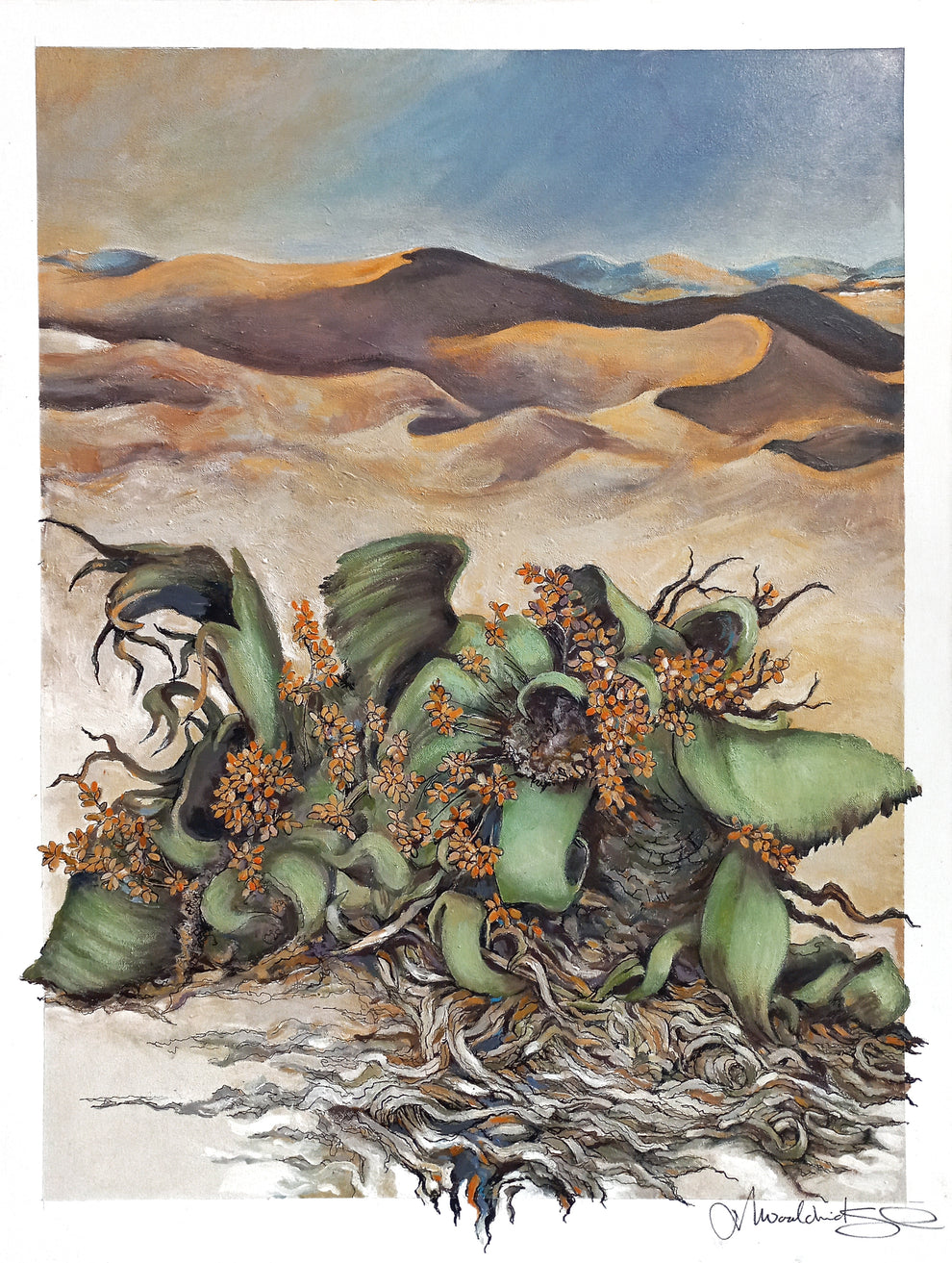 The Miracle of Desert 'Welwitschia' – Purple Heart Gallery and Framing