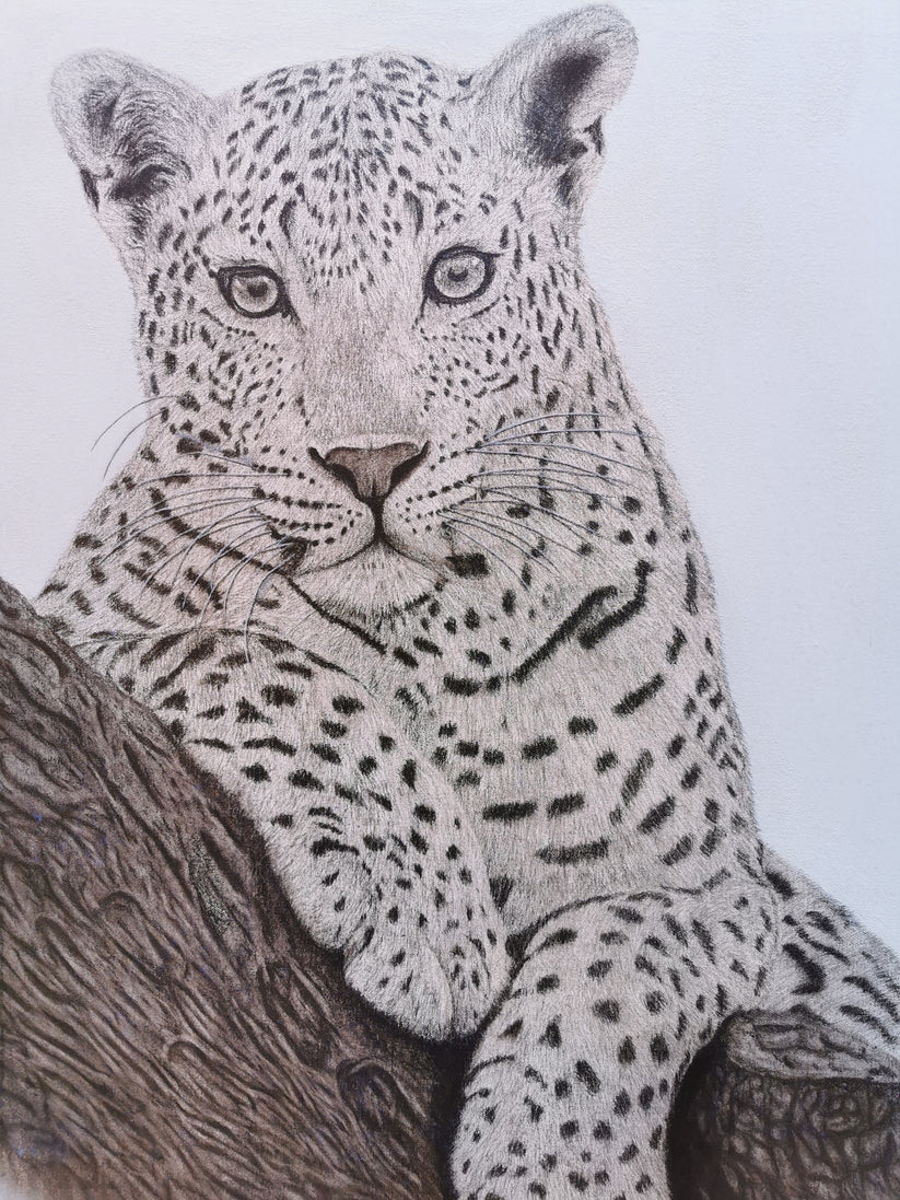 Silent Sentinel - Leopard – Purple Heart Gallery and Framing